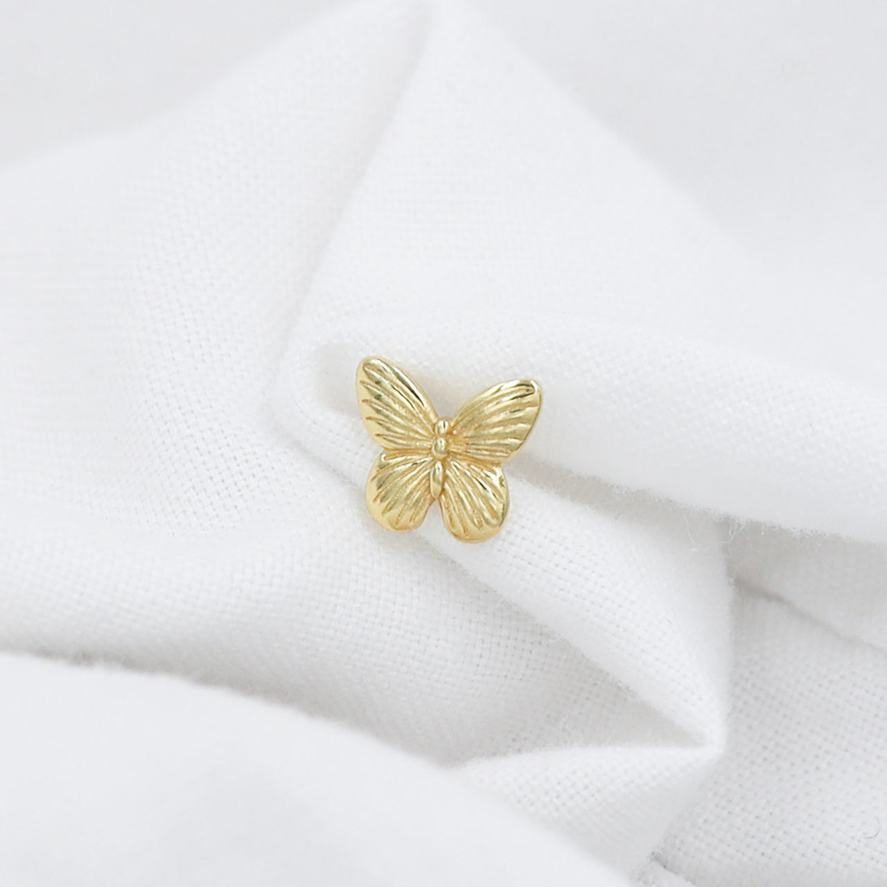 Papillon Gold – rurustudios